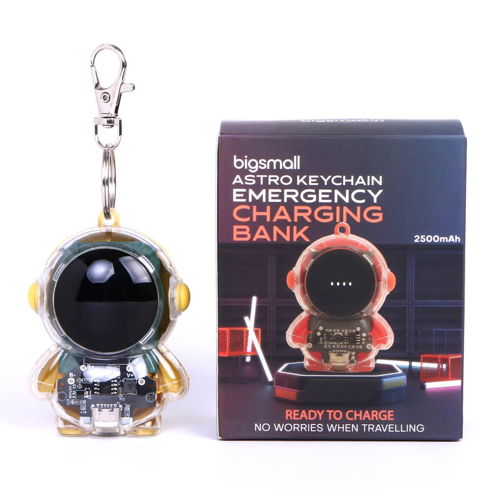 Astro Keychain With Emergency Powerbank 2500mAh(Type C & iPhone ...
