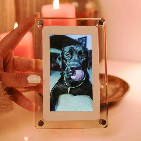 Return Gift Ideas - Unique Birthday Return Gifts Starting @99 - Bigsmall.in